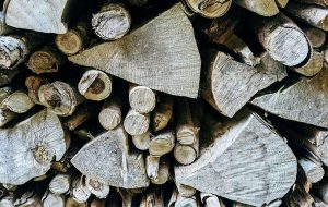 Spinthout versus kernhout: dichtheid, vocht en branden